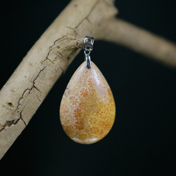 022230 フォシルコーラル 天然石パワーストーンペンダント チャクラ ハンドメイド 癒し 心身調和 浄化お守り ブレスレット 星野 ...