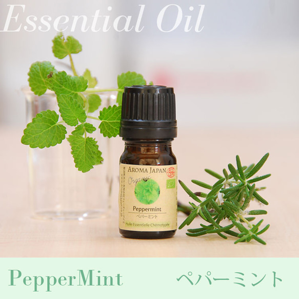 スペアミント 10ml ミント エッセンシャルオイル アロマオイル 精油 | fullfull.main.jp