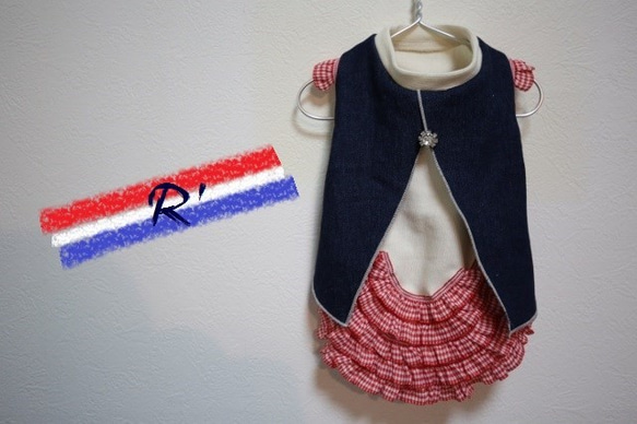 バックシャンギンガムチェックフリルとデニムコラボのアンサンブルプルオーバー ペット服・アクセサリー R' 通販｜Creema(クリーマ ...