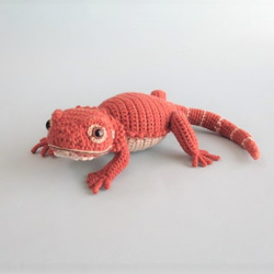 kiitigo*フトアゴヒゲトカゲ＊爬虫類＊あみぐるみ あみぐるみ kiitigo* 通販｜Creema(クリーマ) 11519243