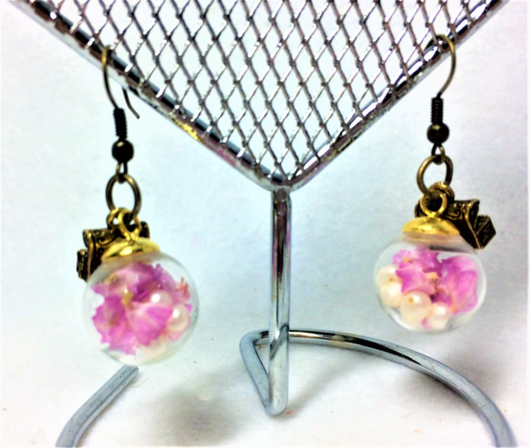ドライフラワーガラスドームフックピアス 淡水パール&ピンクスターチス ジュエルボックスチャーム クラシックブラウン ピアス（フック・チェーン ...