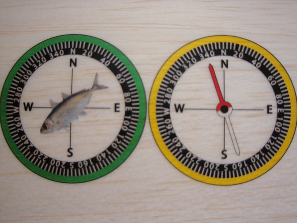 Fish compass ウォールステッカー・ウォールデコ pictgraph 通販 11751728｜Creema(クリーマ)