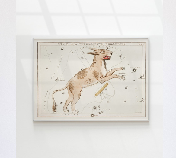 【アートポスター】地図 海外 英字 インテリアポスター 子供 犬 星 星座 レトロ ポスター アート インテリア 絵 その他アート らんたん ...