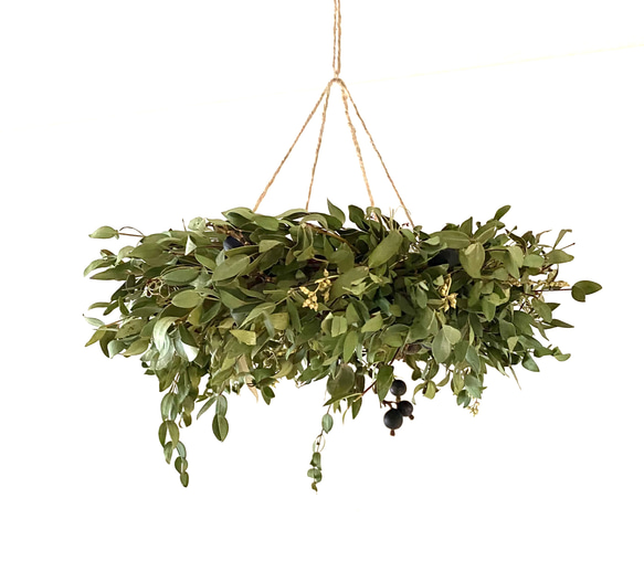 ドライのユーカリのフライングリース リース irodori0012 通販｜Creema(クリーマ) 12569601