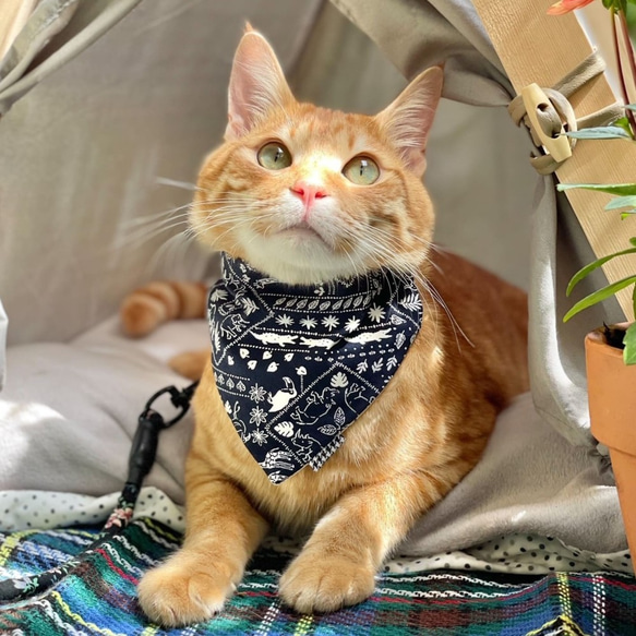 ペットと暮らす2021 おしゃれな猫のバンダナ アドベンチャー 冒険 動物 Japanese Cat Bandana ペット服・アクセサリー ...