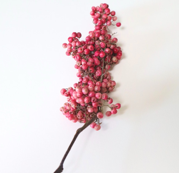 【送料無料】枝付きペッパーベリー ドライフラワー 1本 その他素材 Dry Flower Shop 通販 12191901｜Creema(クリーマ)
