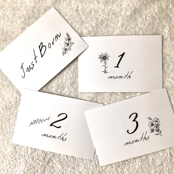 【シンプル】マンスリーカード、月齢カード 雑貨・その他 AND CIRCLE 通販｜Creema(クリーマ) 12690542