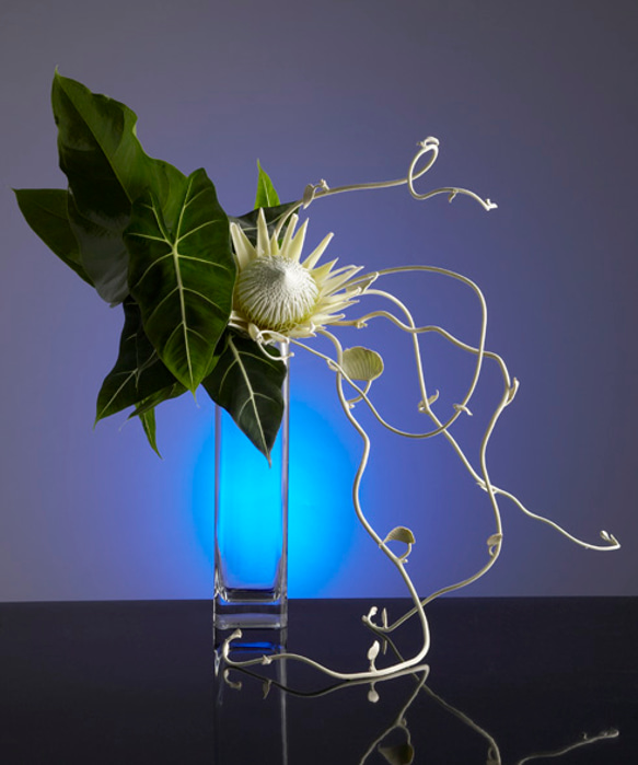 Flowers_005 写真・グラフィック yoshihisa 通販｜Creema(クリーマ) 105684