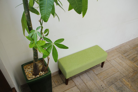 2s Bench D300（ BR × イエローグリーン ANシリーズ ）※幅オーダー ソファ・ベンチ hikosen style 通販 ...