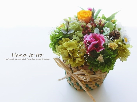 フラワーギフト -le parterre- プリザーブドフラワー nana 通販 3788036｜Creema(クリーマ)