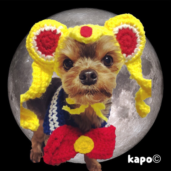 セーラー襟&リボン《ペット用》 ペット服・アクセサリー kapo©︎ 通販 5290107｜Creema(クリーマ)