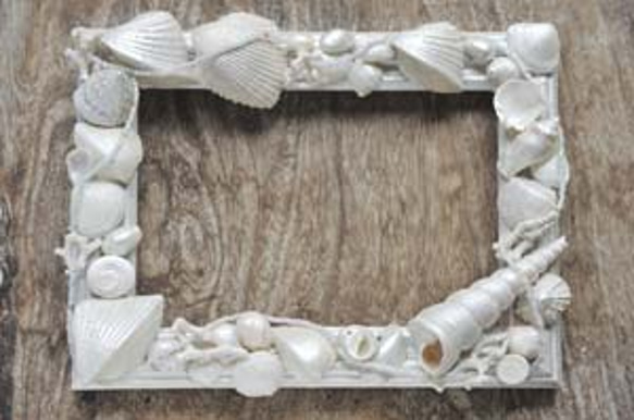 『Shell screen』 その他インテリア雑貨 Garden 通販 56369｜Creema(クリーマ)