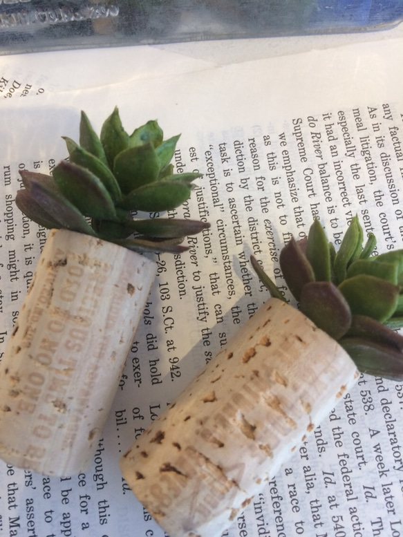 フェイク多肉のコルクマグネット マグネット filblanc plus 通販 1677375｜Creema(クリーマ)