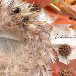 smoke bush wreath ドライフラワー 一枚の葉 通販｜Creema(クリーマ)