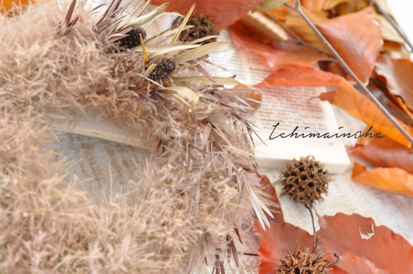 smoke bush wreath ドライフラワー 一枚の葉 通販｜Creema(クリーマ)