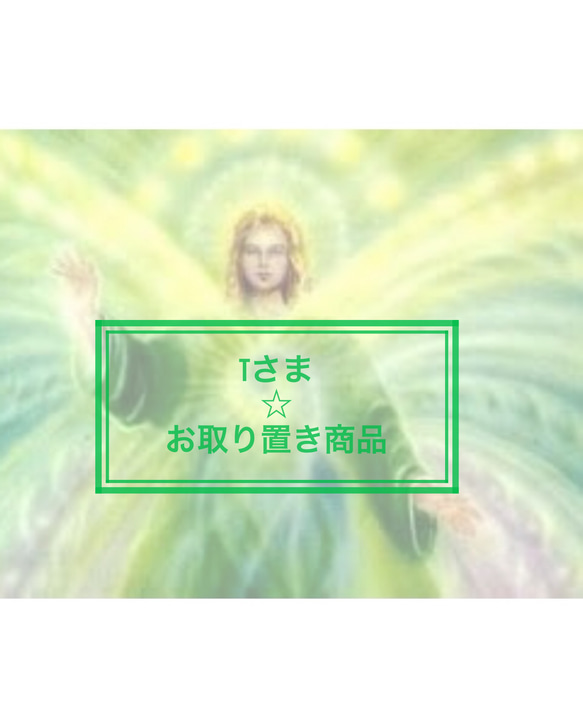 Tさま☆お取置き商品 立体・オブジェ ailoveaura 通販 11548293｜Creema(クリーマ)