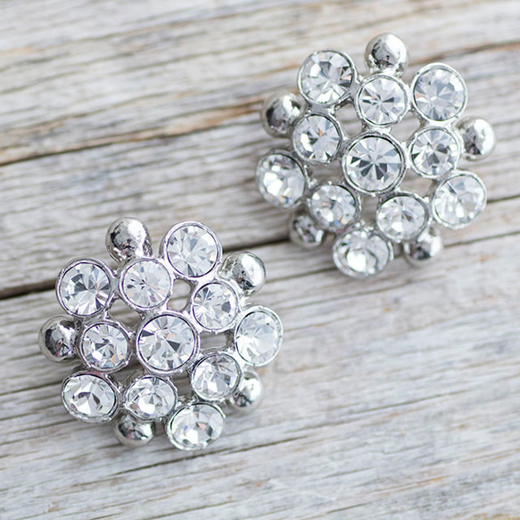 ビジューボタン 1穴 ＃BT167 24mm C/#N シルバー×クリスタル ＊＊1個＊＊ ボタン takashimabutton 通販 ...