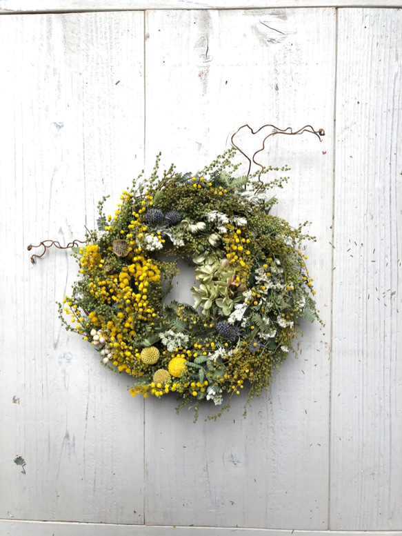 春・優しいミモザのドライフラワーリース2 リース NATURAL COLOR 通販｜Creema(クリーマ) 8699496