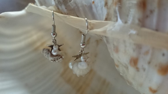 天然シェルとスターチャームとパールのピアス 貝殻4 ピアス（フック・チェーン） myne-2016 通販 1907531｜Creema(クリーマ)