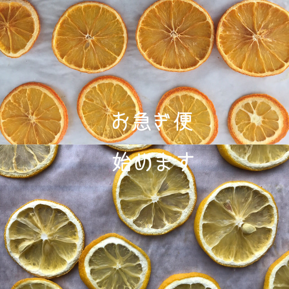 【優先発送&速達対応】お急ぎ便 その他素材 koti 通販 4605824｜Creema(クリーマ)