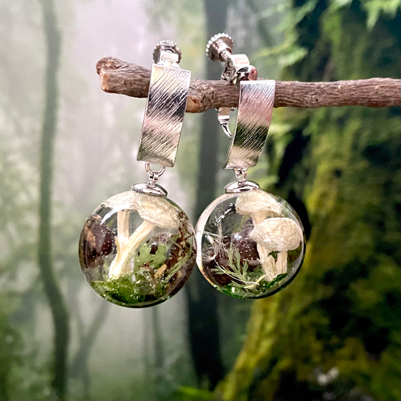 【kinoco Label】きのこイヤリング ネジバネ式 イヤリング・ノンホールピアス astin muhler 通販 11110377 ...