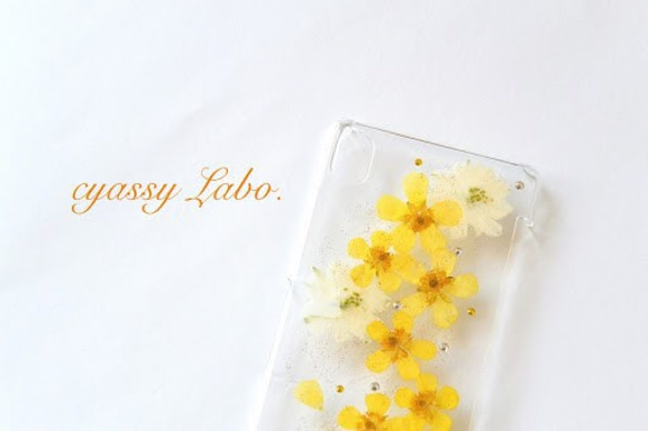 可憐な金鳳花 押し花スマートフォンケース その他携帯アクセサリー cyassy Labo. 通販｜Creema(クリーマ) 1266576