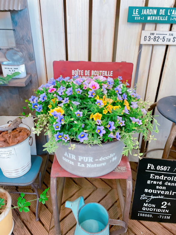 現品のみ♡【カリブラコア寄せ植え】大きめグレー系ブリキ鉢！ナチュラルガーデニング♡ その他インテリア雑貨 雅楽 うた 通販｜Creema ...