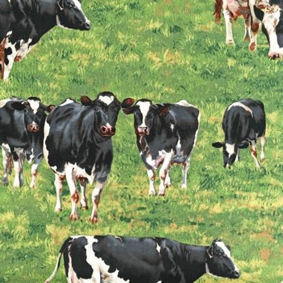 USAコットン生地 とてもリアルなうしさんの生地 生地 輸入資材Laugh;Rela(ラフリラ) 通販｜Creema(クリーマ) 3145561